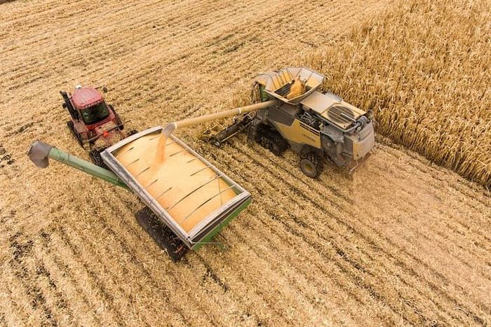 Jurusan Teknik Pertanian: Pilihan Strategis untuk Masa Depan Pertanian ...