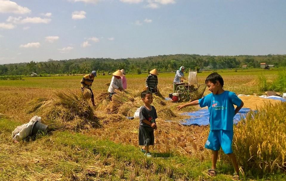 Mengenalkan Pertanian ke Anak Indonesia: Langkah Menuju Masa Depan Berkelanjutan